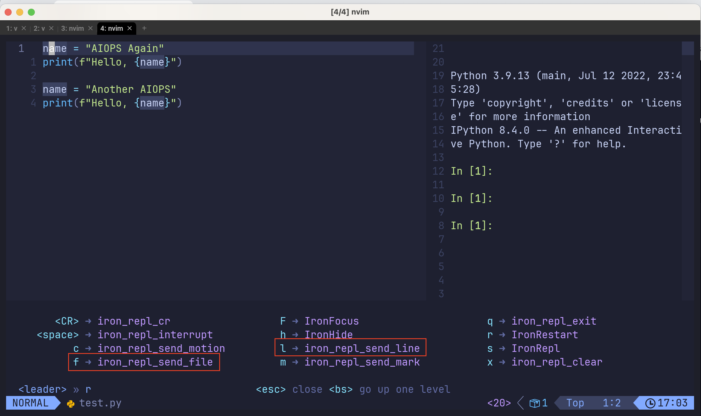 Run python code nvim