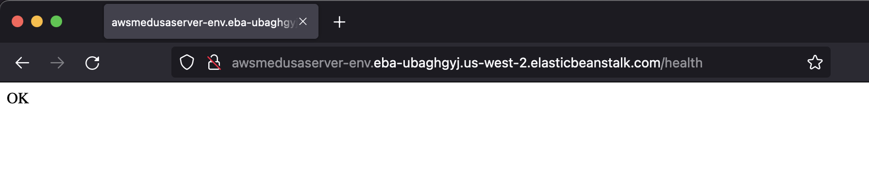 Deploying Medusa With AWS Elastic Beanstalk
