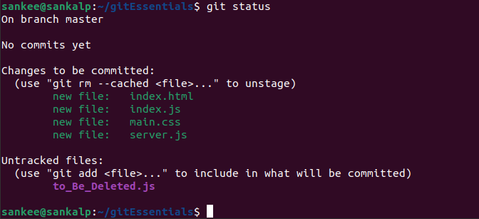 Git Essentials – Sankalp Swami