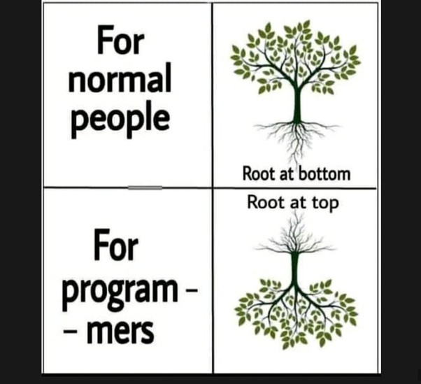 Data Structures Trees I