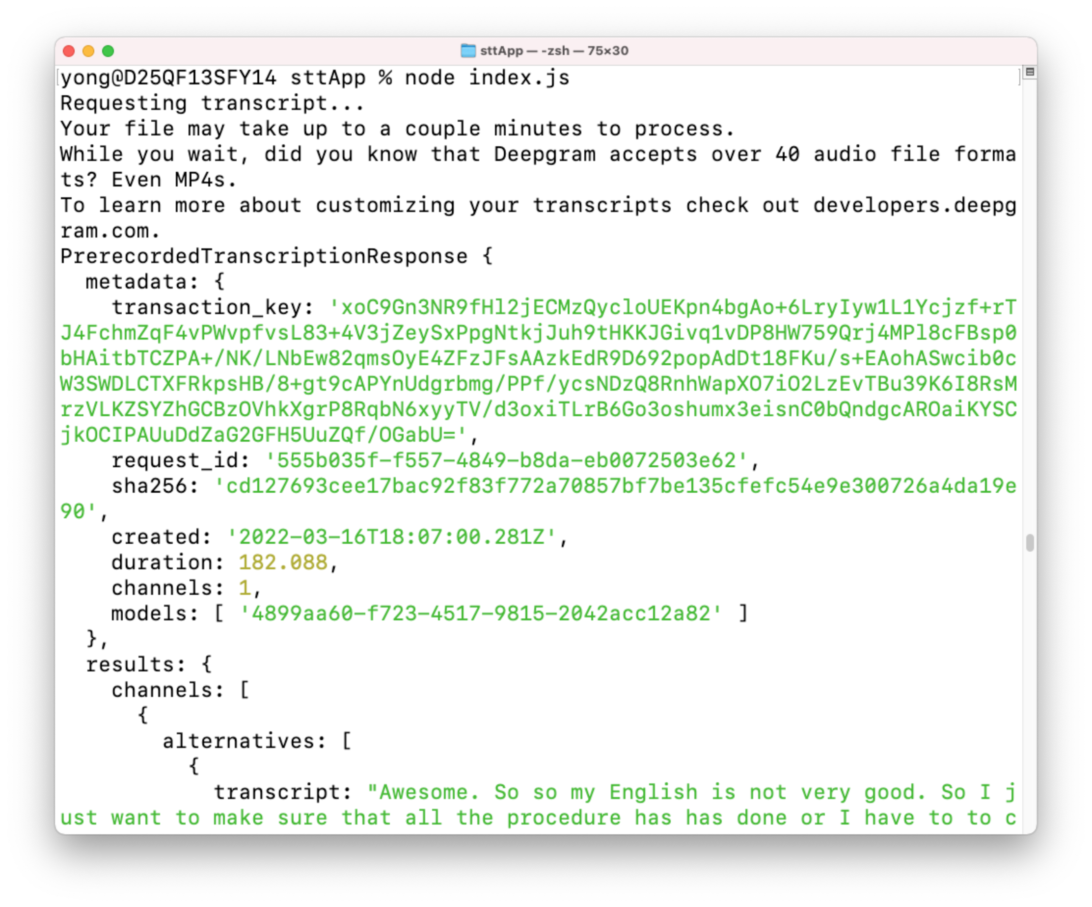 GitHub - hyc0812/deepgram-local-voice-file