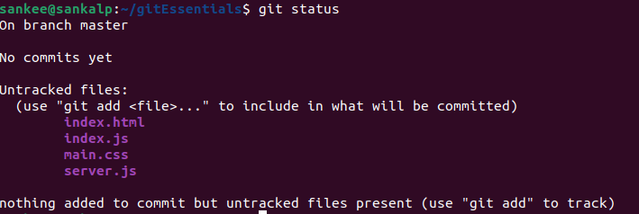Git Essentials – Sankalp Swami